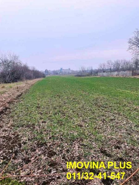 OBRENOVAC, UROVCI - POLJOPRIVREDNO ZEMLJIŠTE