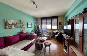 Prodajem Stan-Apartman, Detelinara