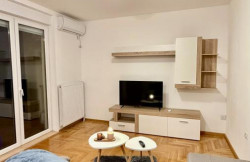 * Novi sad - Centar * pet friendly