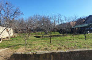 Iznajmljujem Građevinsko Zemljište, Rakovac, Novi Sad Okolica