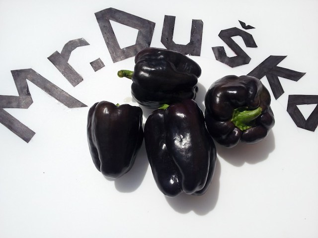 Paprika `Purple Beauty`, 100 semenki