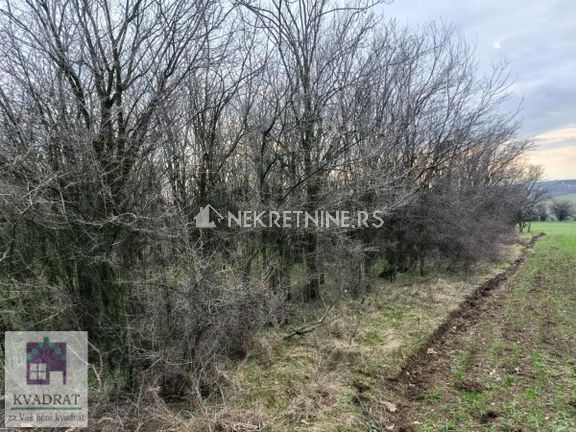 Građevinski plac 10 ari – Jasenak, opština Obrenovac - 9.500€