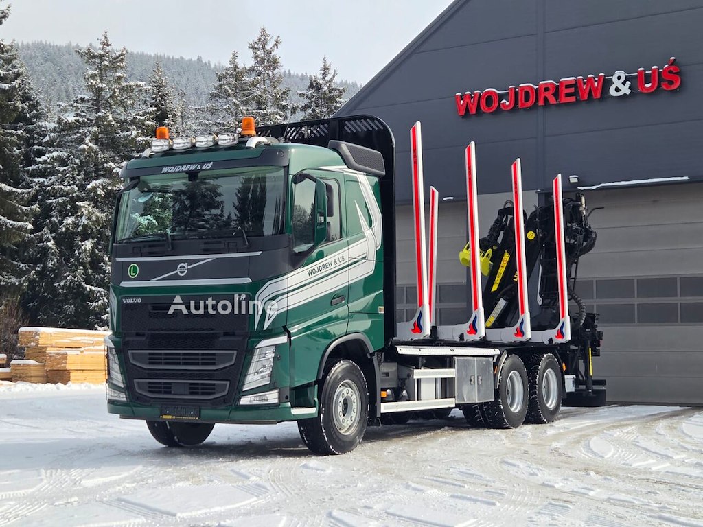 Volvo FH 500 kamion za prevoz drva