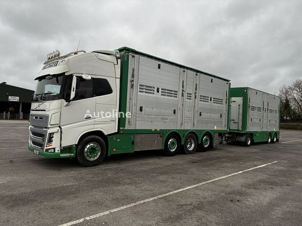 Volvo FH kamion za prevoz stoke + prikolica za prevoz stoke