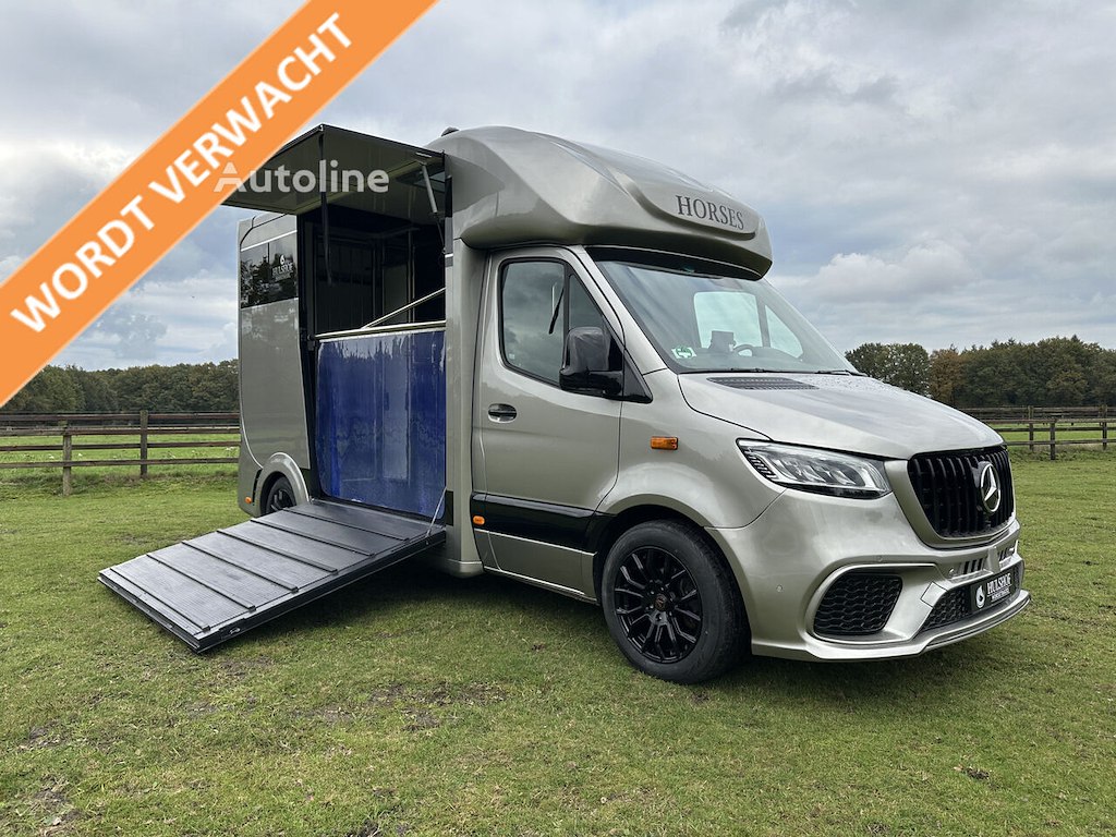 Mercedes-Benz Sprinter 317 AMG 2-paards paardenvrachtwagen vozilo za prevoz konja