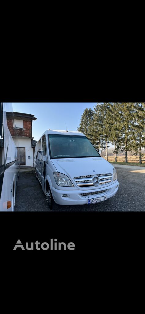 Mercedes-Benz Sprinter 519 putnički minibus