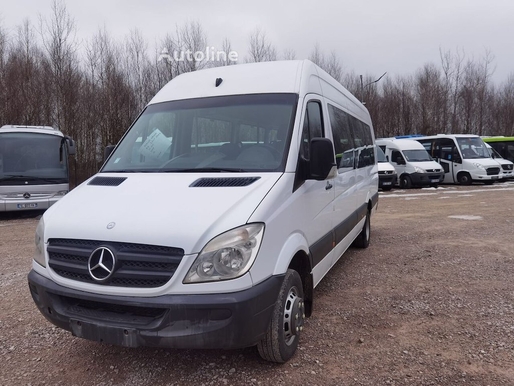 Mercedes-Benz Sprinter 513 putnički minibus