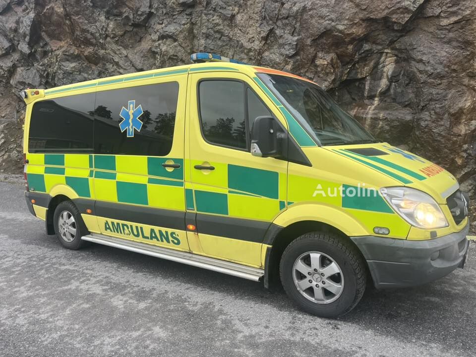 Mercedes-Benz Sprinter 316 NGT - AMBULANCE / Krankenwagen / shvidka dopomoga vozilo hitne pomoći