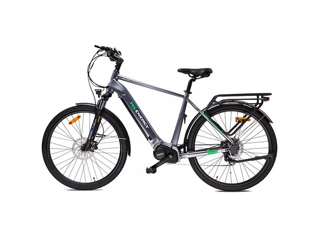 Električni bicikl MS Energy eBike c101