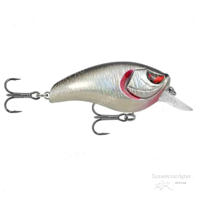 MATZUO Hiryu Shad (SXM5-SBK) Silver Black Back