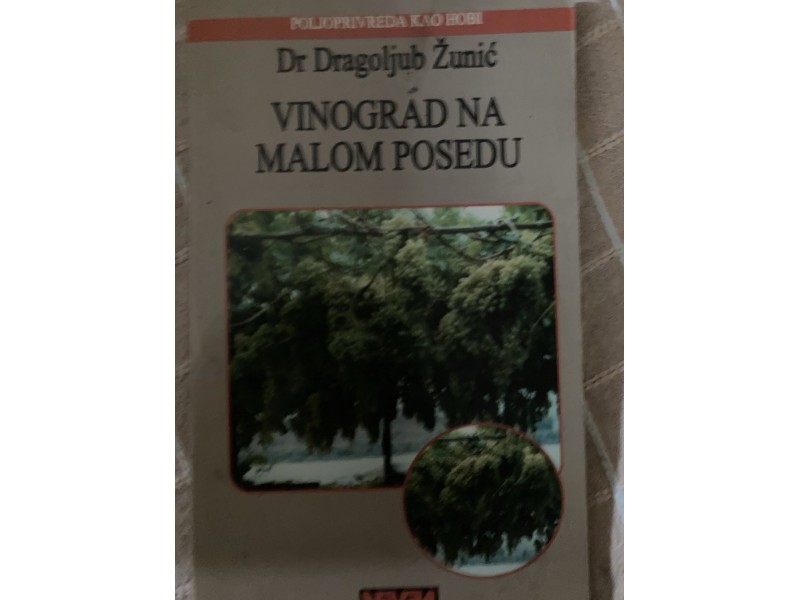 Dragoljub Žunić - Vinograd na malom posedu