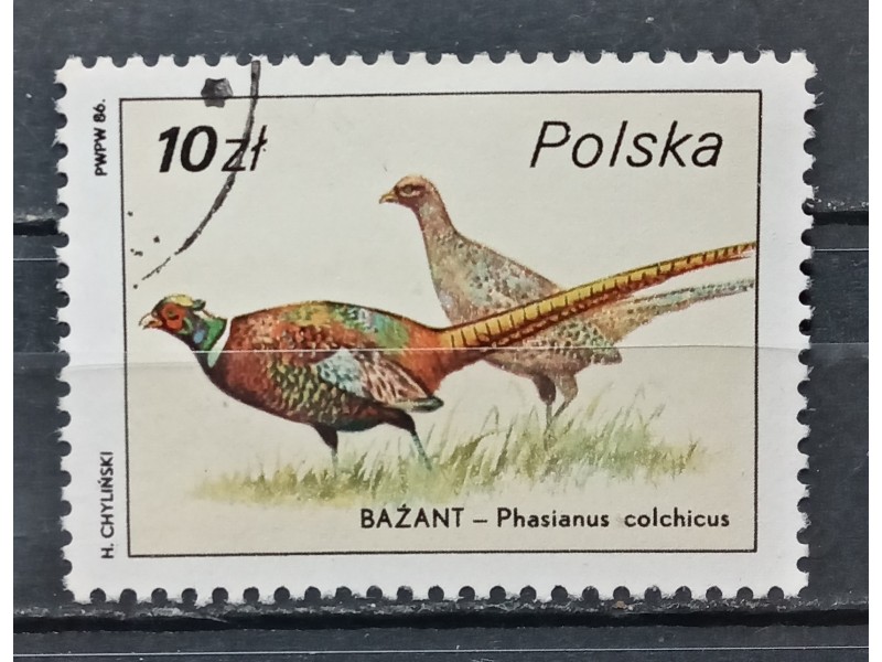 POLJSKA 1986 - FAZANI