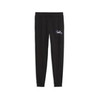 DEČIJA TRENERKA DONJI DEO PUMA ESS NATURE 2.0 GRAPHIC SWEATPANTS TR G