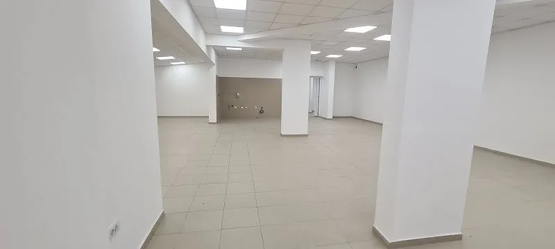 Izdavanje, poslovni prostor, 320m², Dušanovac, Voždovac Sve Podlokacije
