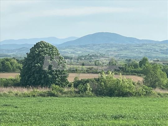Parče raja od Kosmaja. Pogled.Pogled.