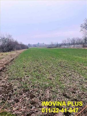 Obrenovac, Urovci - poljoprivredno zemljište