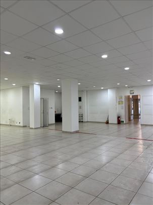 Lokal 250m2 Batajnica