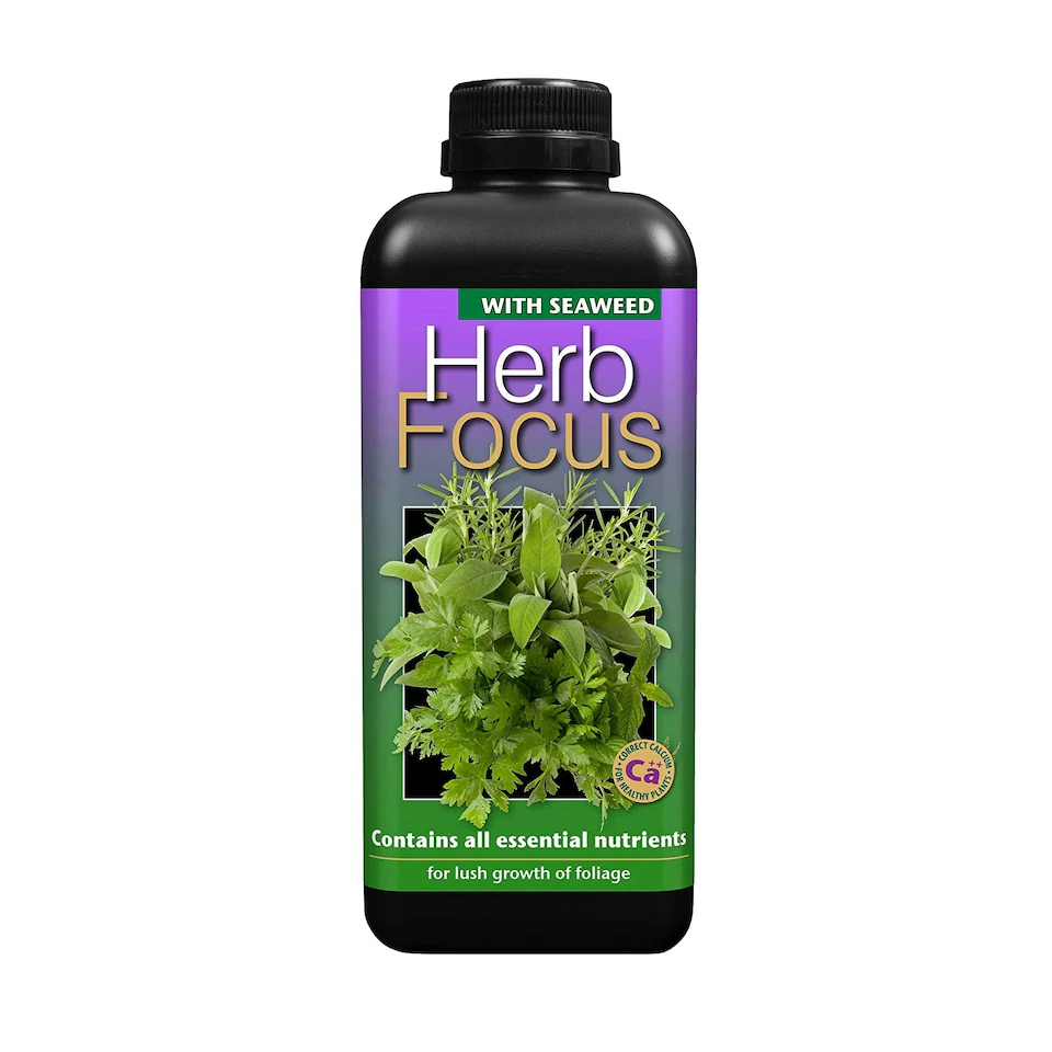 Herb Focus 1L
