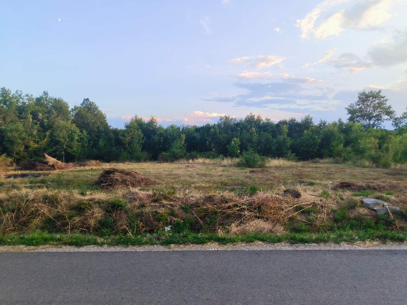 Gradjevinski plac sa šumom na obroncima Kosmaja