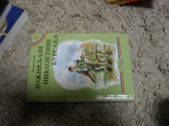 Doživljaji Nikoletine Bursaća - Branko Ćopić