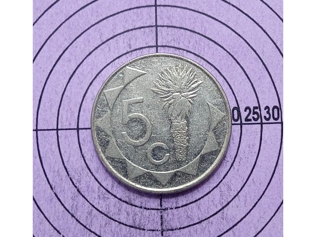 Namibia 5 cents 1993g km1