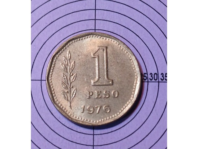 Argentina 1 peso 1976g km69