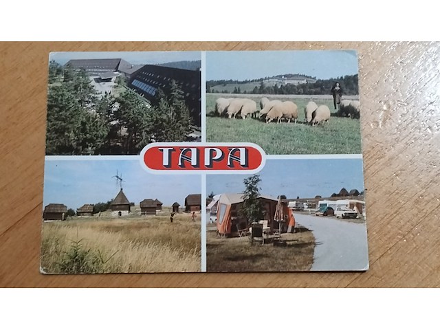 Tara - Životinje - Stado Ovaca - Planina - Putovala