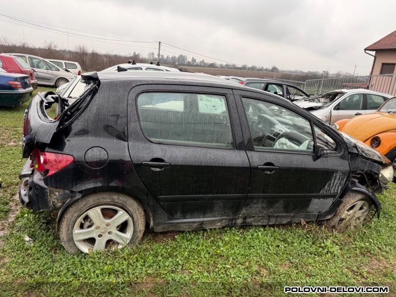 Peugeot 307 Kompletan Auto U Delovima