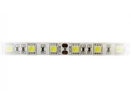 COMMEL LED Traka 5050 SMD Hladno Bela Samolepljiva 5m C405-105