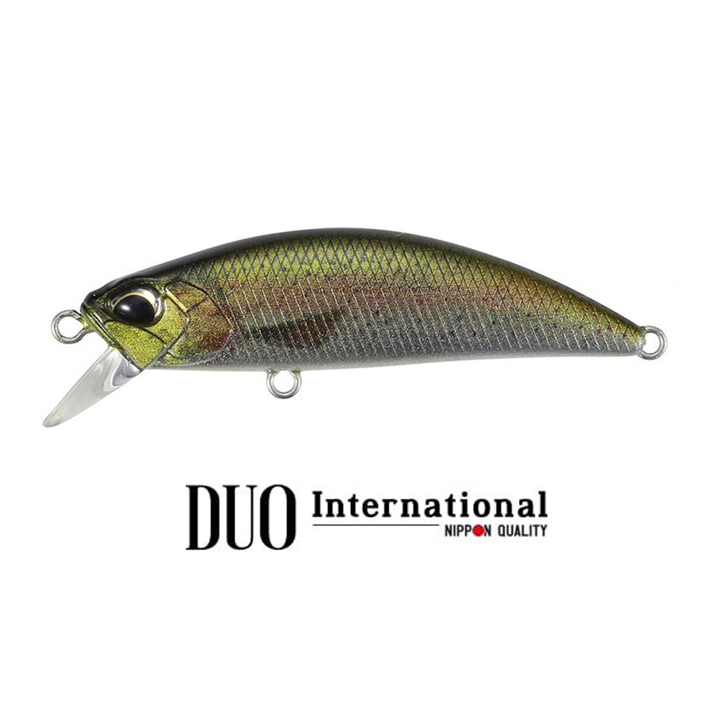 DUO SPEARHEAD RYUKI 50S – RAINBOW TROUT ND