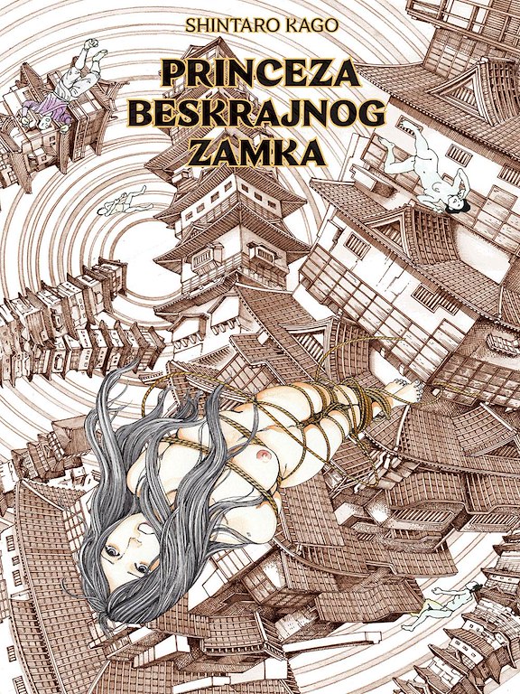 Princeza beskrajnog zamka