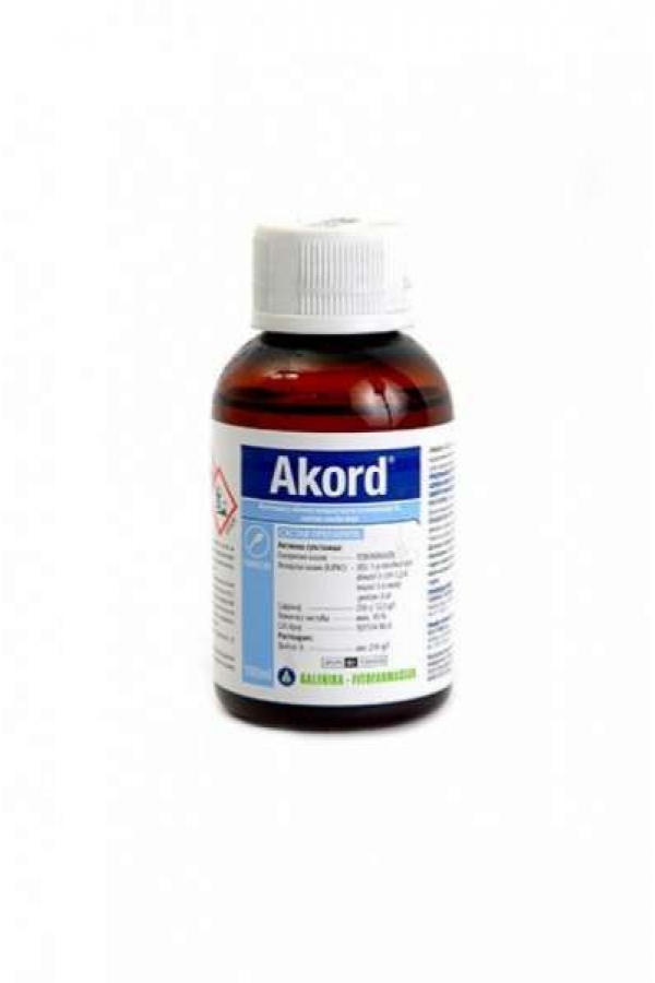 AKORD 100ML
Šifra: 6852 JM: KOM