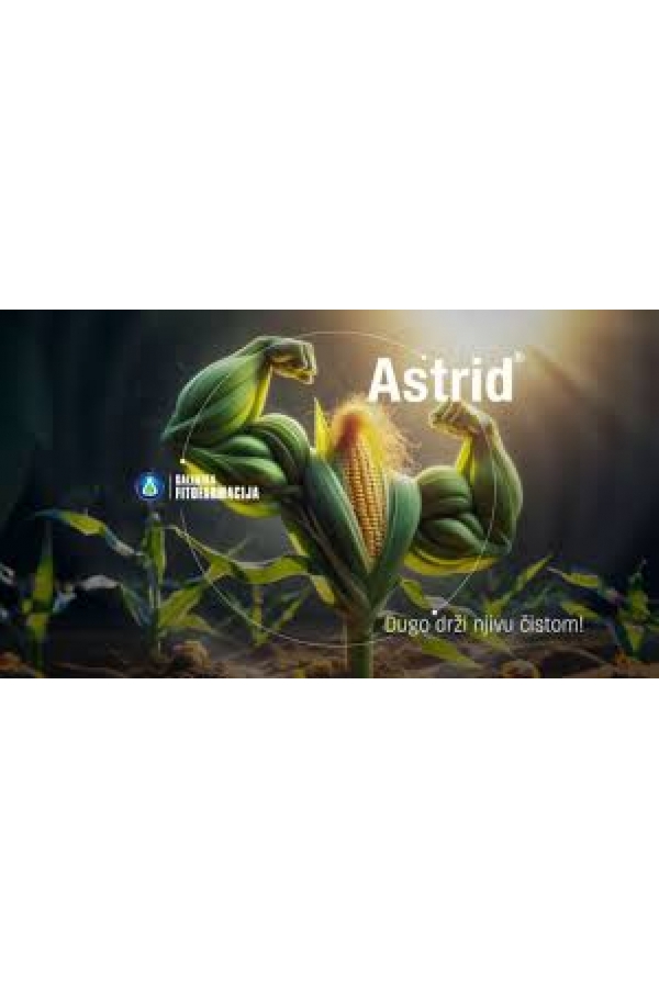 ASTRID 5/1
Šifra: 760 JM: KOM