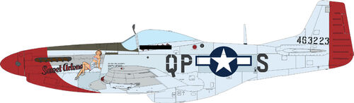 PREORDER Eduard 11196 North American P-51 D Mustang - Mighty Eight (4th FG, 355th FG, 361st FG and 479th FG Decals)