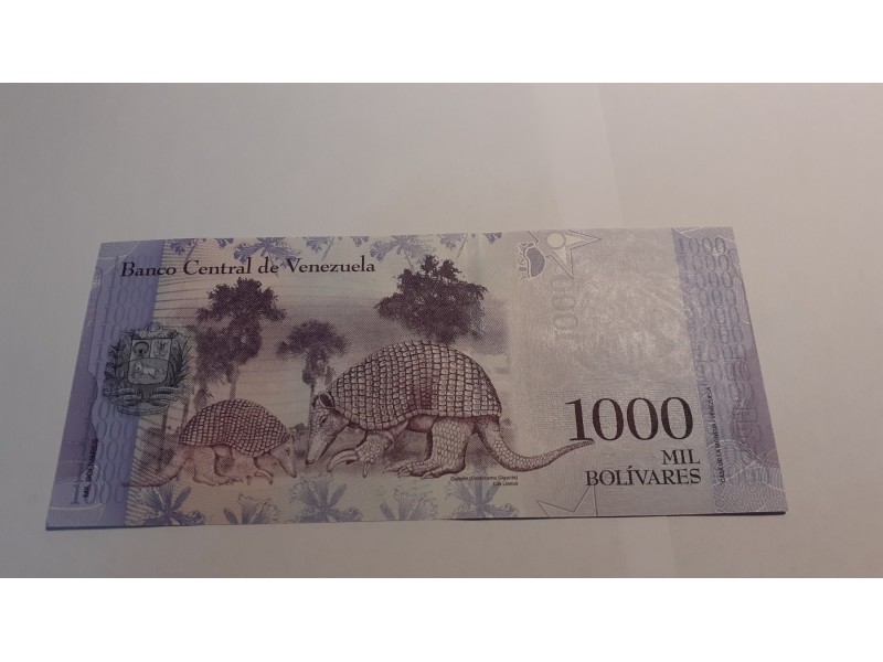 VENECUELA- 1000 BOLIVARES - 2017