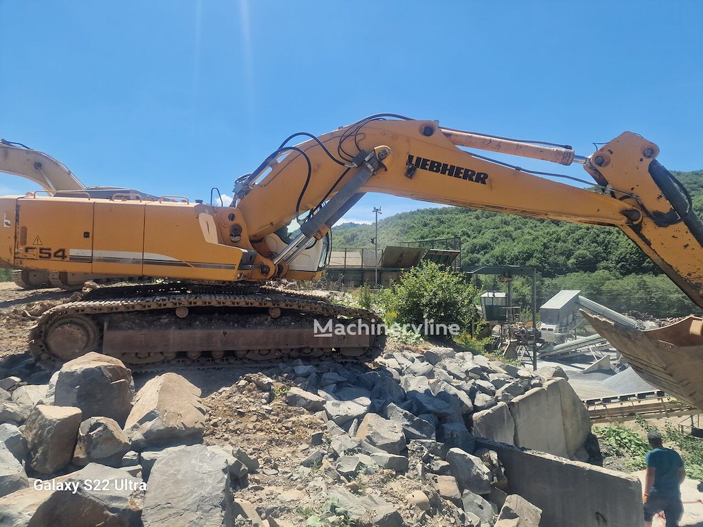 Liebherr R954 bager guseničar