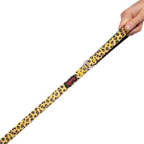 Leopard Medium Multicolor Pasja Povodac