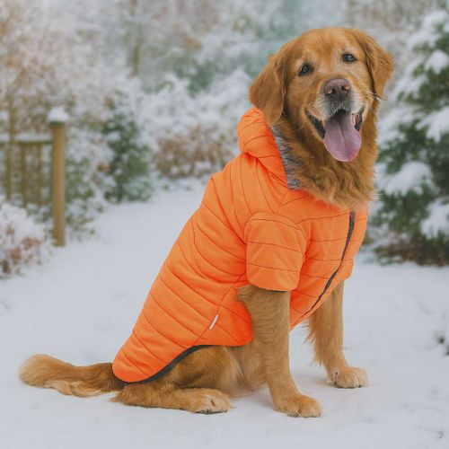Orangecoat Narandžasta Kapuljača za Pse
