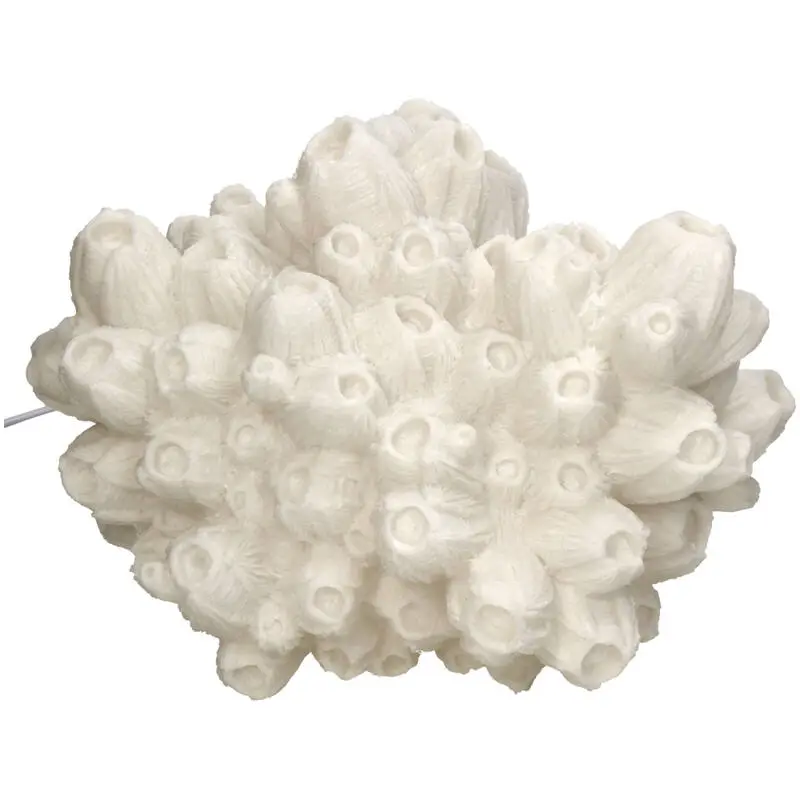 Lampa // „Coral Lotus“