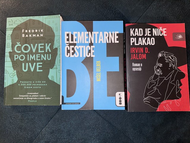 Elementarne čestice, Kad je Niče plakao +1