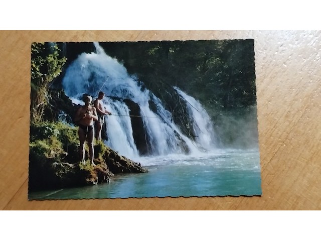 Tara - Perućac - Bajina Bašta - Ribolovci - Čista