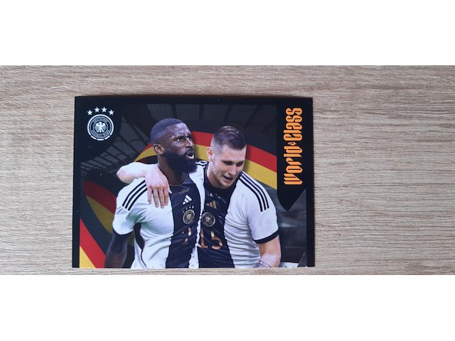 World Class Panini 2024 sličica broj 100