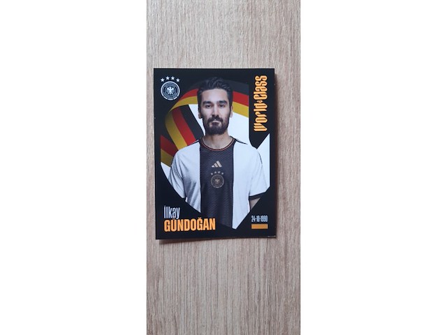 World Class Panini 2024 sličica broj 084