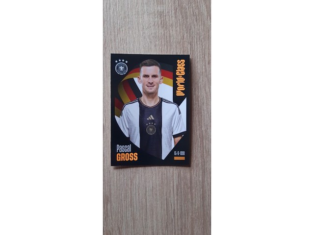 World Class Panini 2024 sličica broj 082
