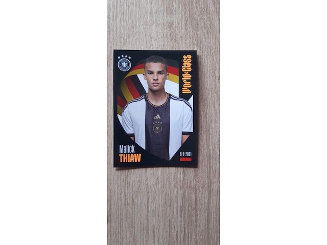 World Class Panini 2024 sličica broj 080