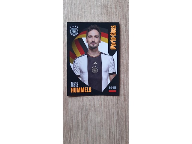 World Class Panini 2024 sličica broj 078