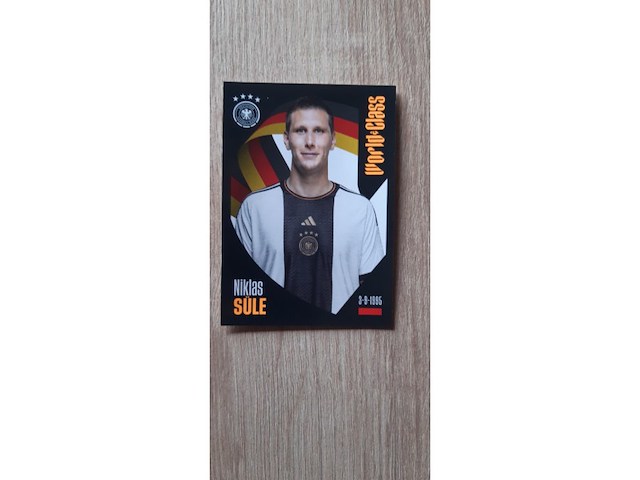 World Class Panini 2024 sličica broj 077