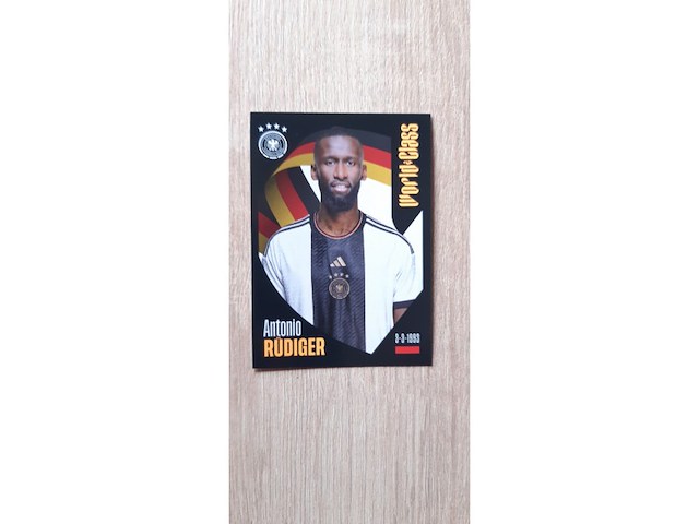 World Class Panini 2024 sličica broj 076