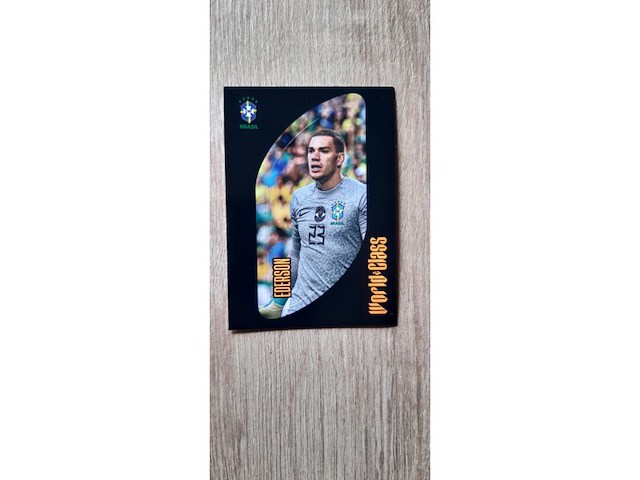 World Class Panini 2024 sličica broj 063