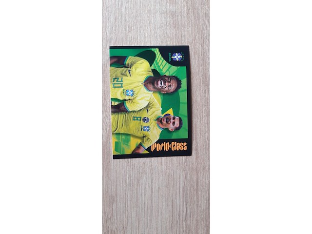 World Class Panini 2024 sličica broj 061